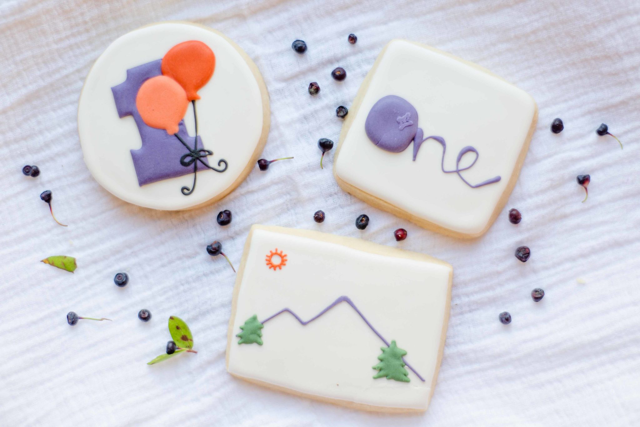 1 Year of Eliza Grace - Huckleberry Birthday Party - Rebekah Read Creative